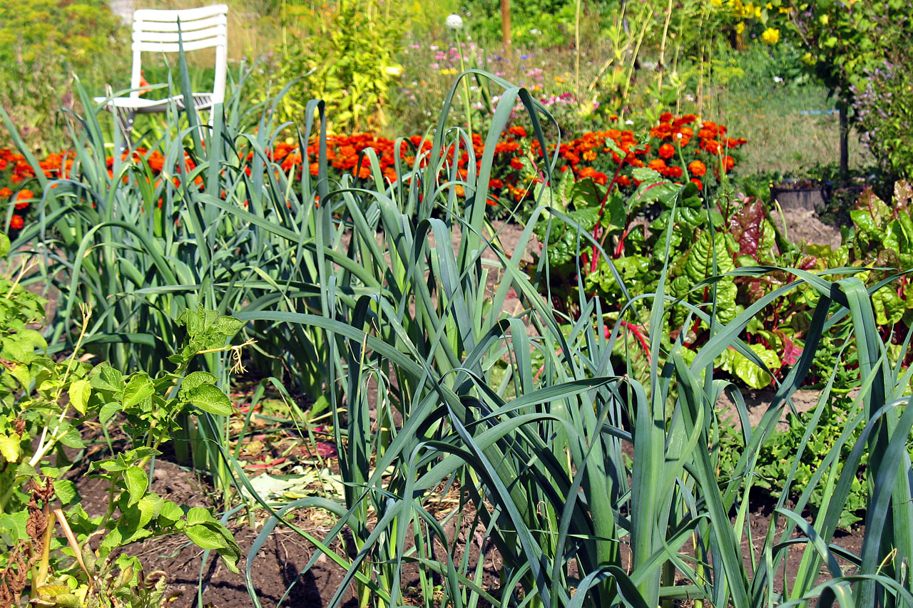 Mondeeni kuvajournaali